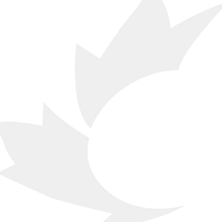 CWP Constructors Ltd.